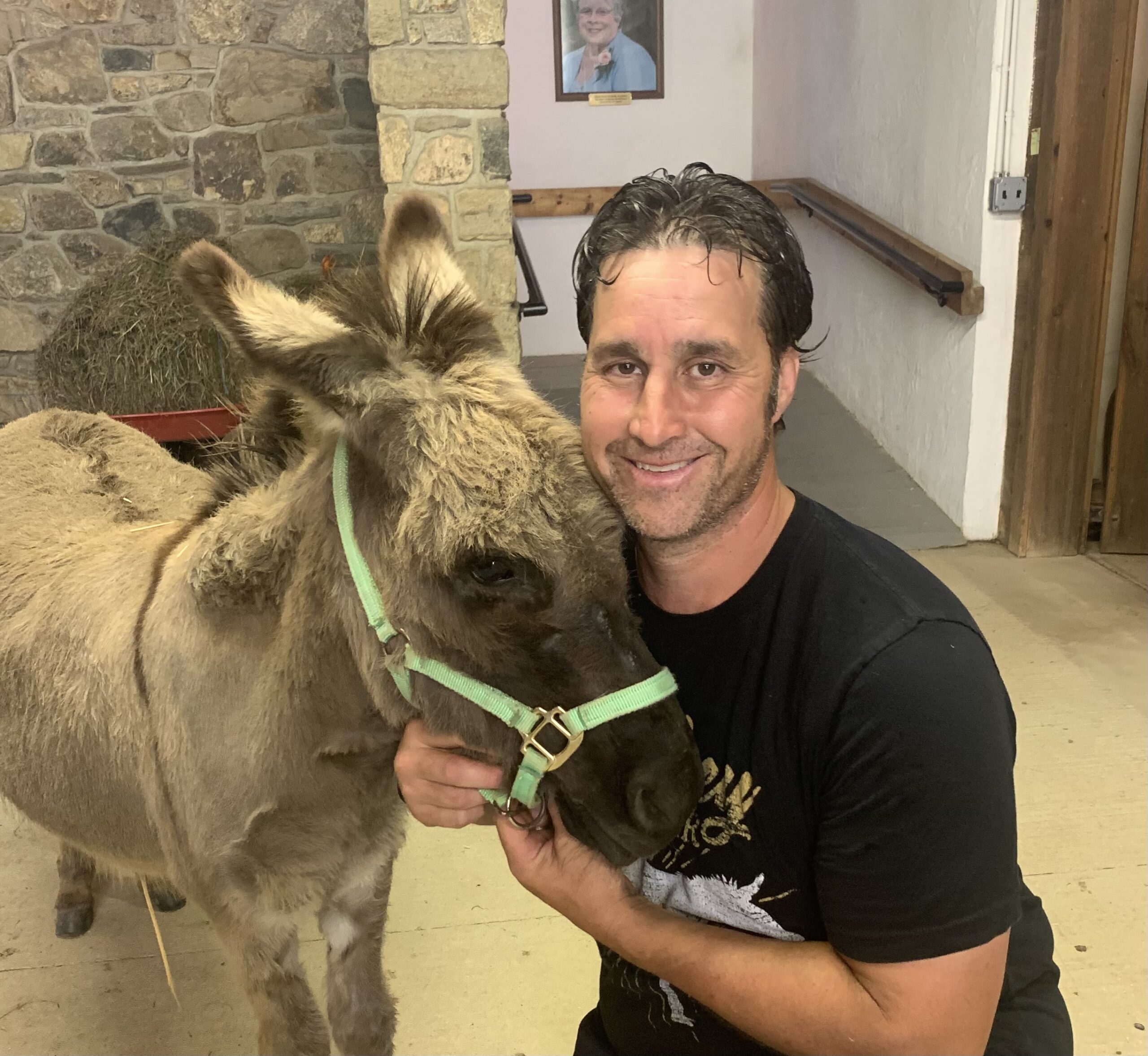 IMG_1933 - The Barn at Spring Brook