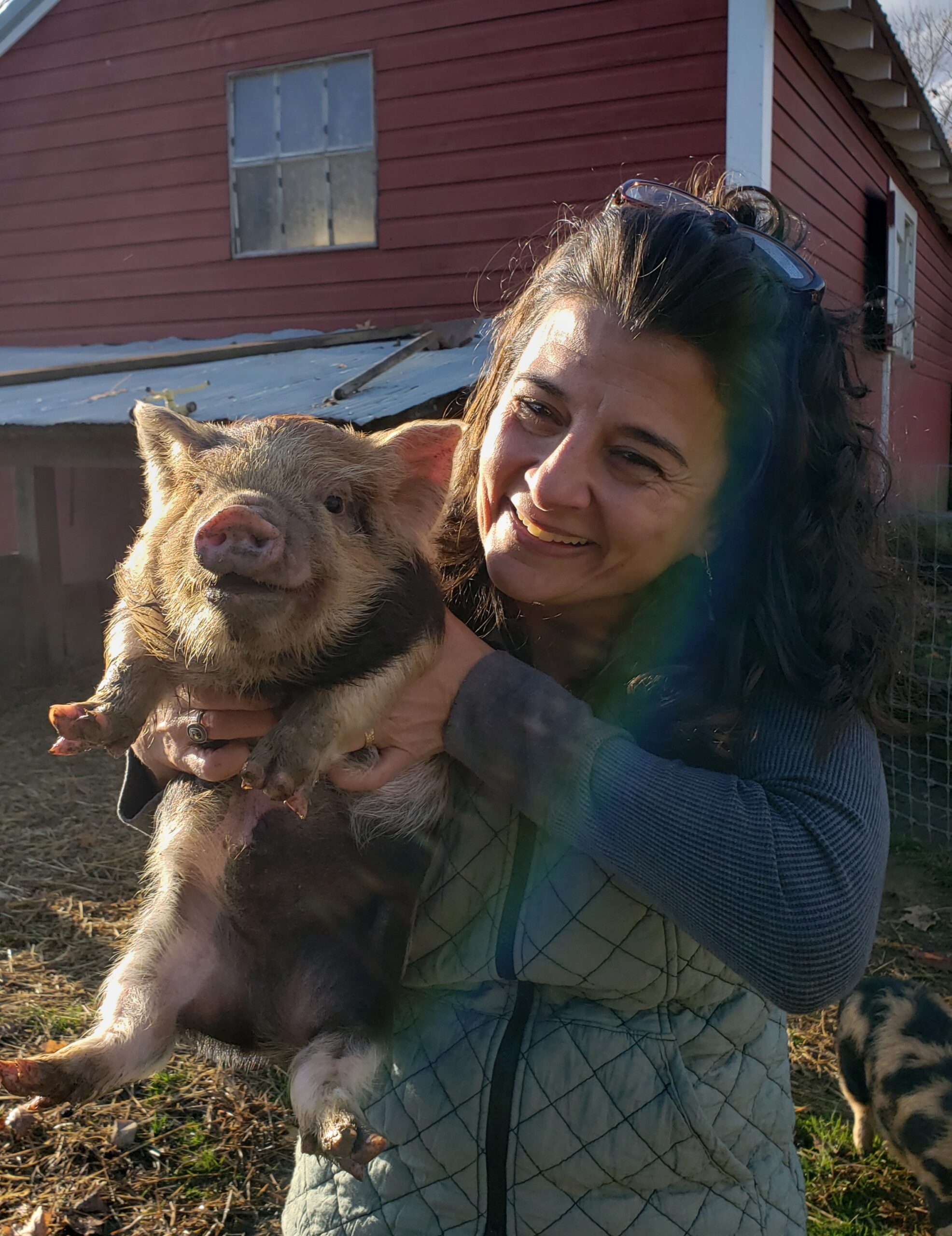 Board Members | The Barn at Spring Brook Farm | Non-Profit