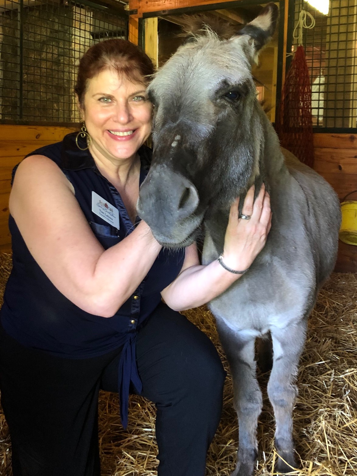 image2 - The Barn at Spring Brook