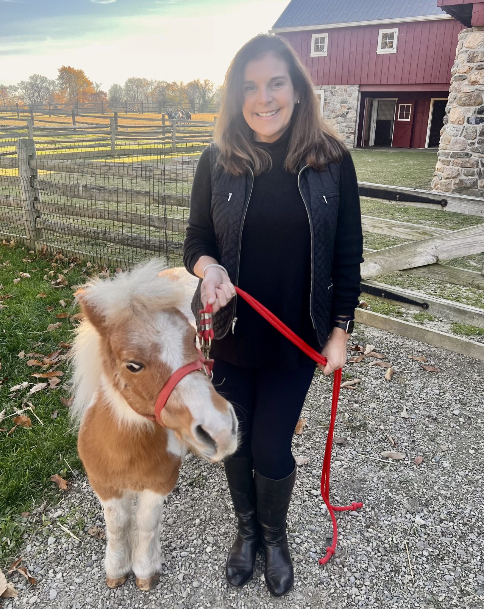 Staff | The Barn at Spring Brook Farm | Non-Profit | West Chester, PA